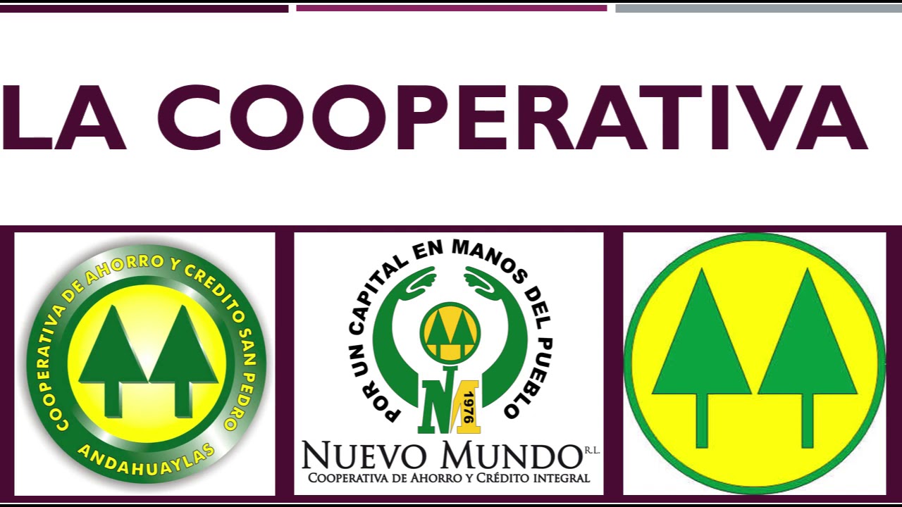 Qu Es Una Cooperativa Y Qu Tipos De Cooperativa Existen