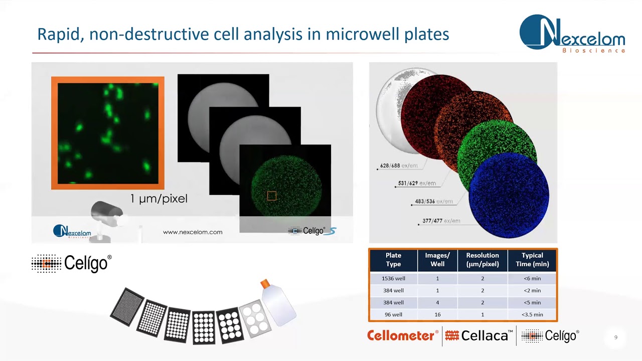 Nexcelom Bioscience: 05/11/20 - YouTube