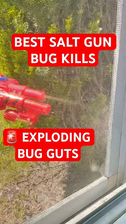 🚨 EXPLODING BUG GUTS 🚨 BEST SALT GUN BUG KILLS! - YouTube