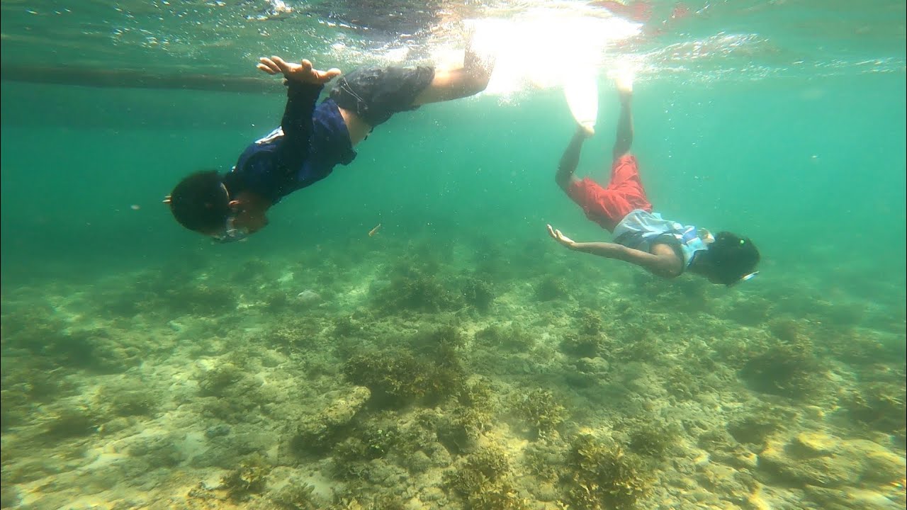 Part 1- Paggalugad sa ilalim ng dagat pulang labi at saang shell |Catch ...