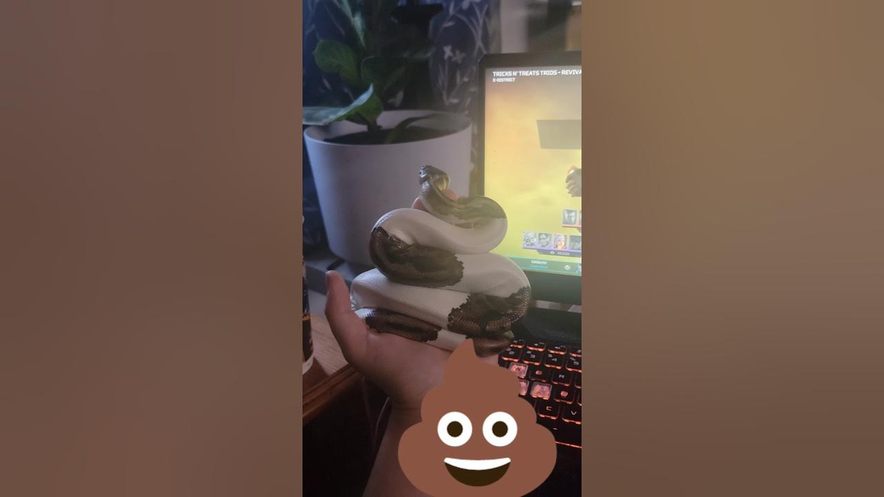 Poop Snakes! - YouTube