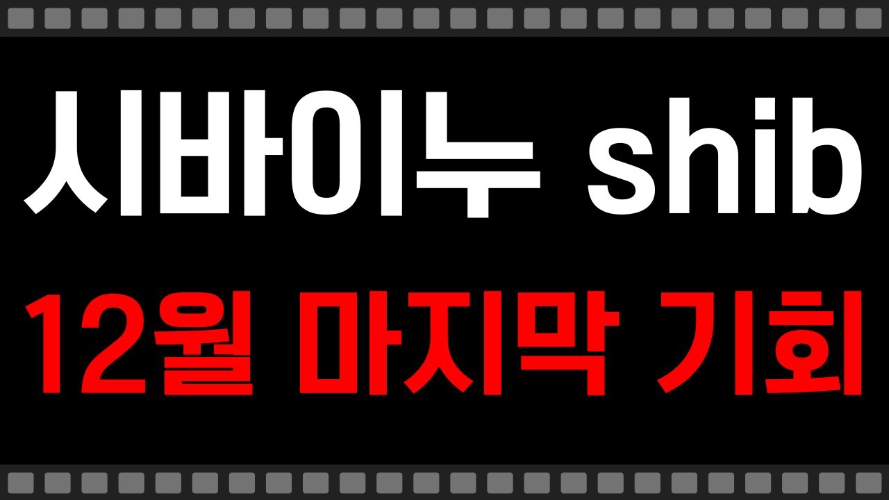 [ 시바이누 shib ] 12월 마지막 기회 - YouTube