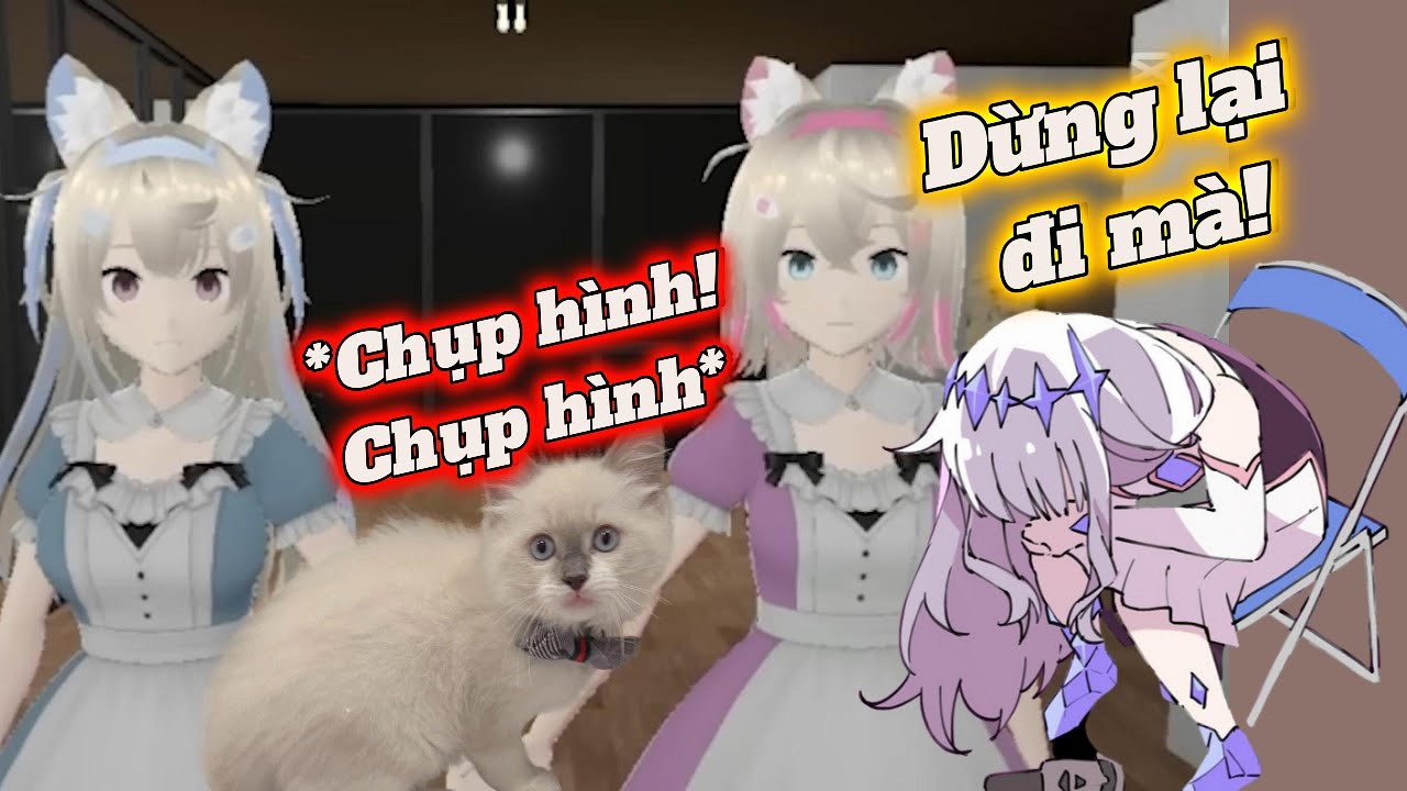 John Cat của Biboo chụp hình liên tục khi thấy FUWAMOCO !!! [VietSub ...