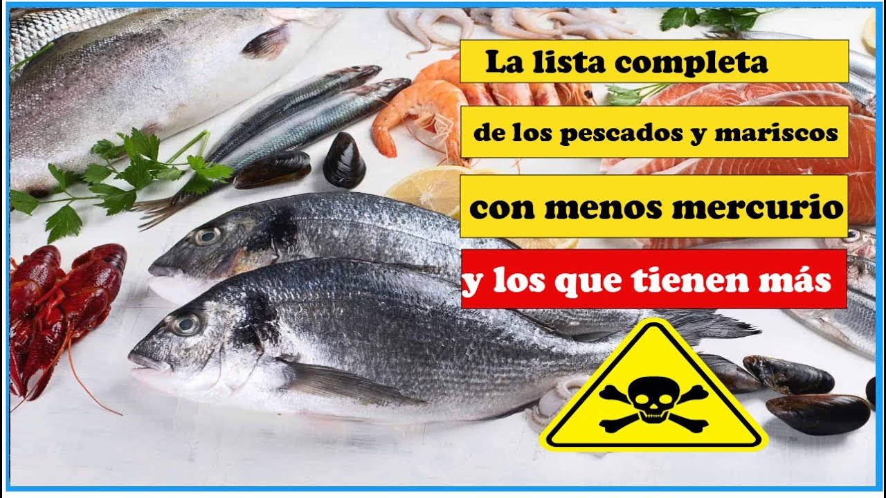 La lista completa de los pescados y mariscos con menos mercurio y los ...