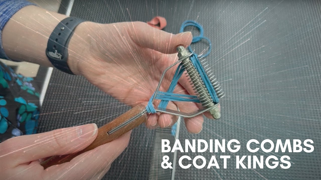 BANDING COMBS | THE BASICS | DOG GROOMING - YouTube