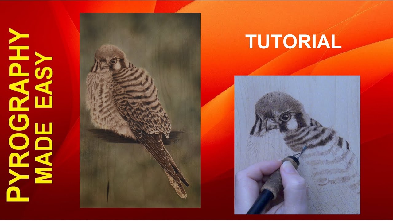 Wood Burning - Kestrel hawk pyrography tutorial - YouTube