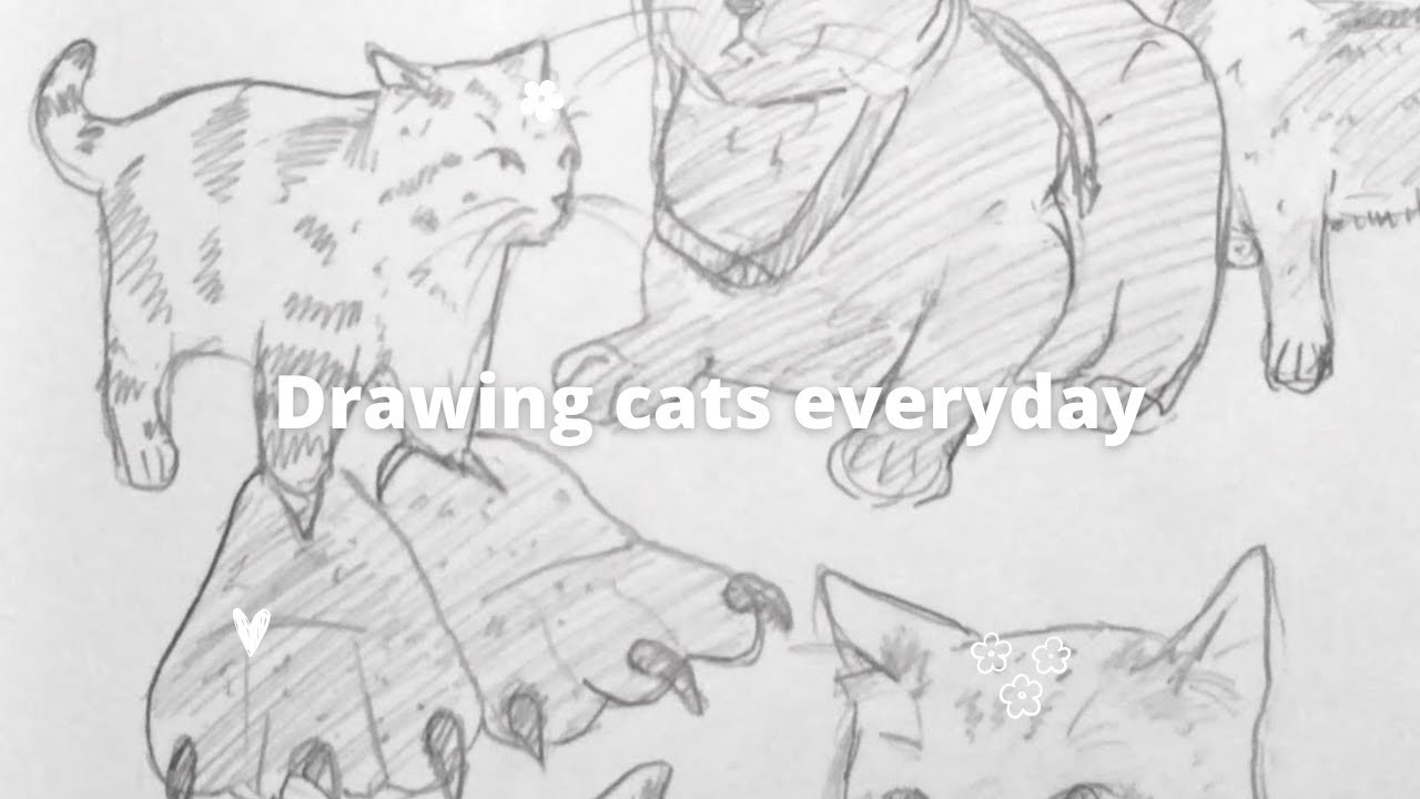 Day 72: Drawing one page of cats everyday - YouTube