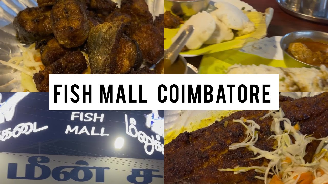 Fish mall Coimbatore | 20 + Fish variety’s | Fish kadal….#foodie # ...