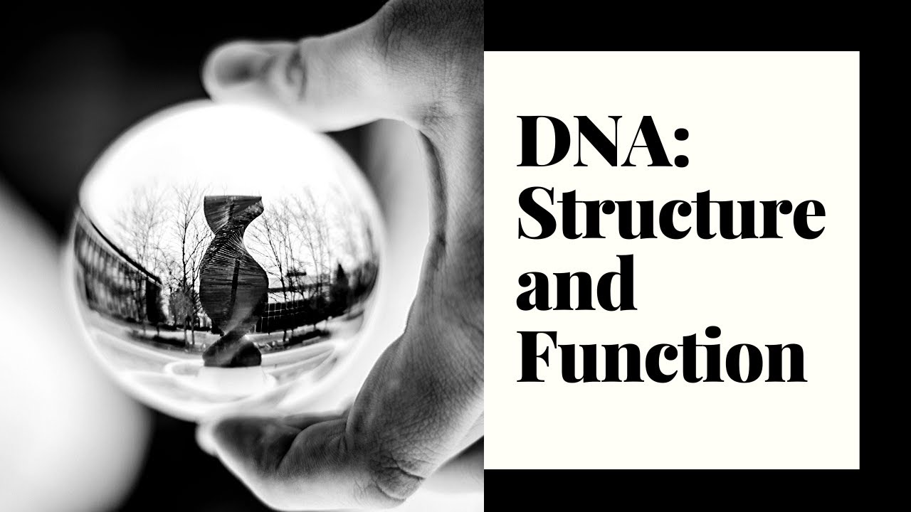 Intro to DNA | Denaturation and tm | Melting temperature ...