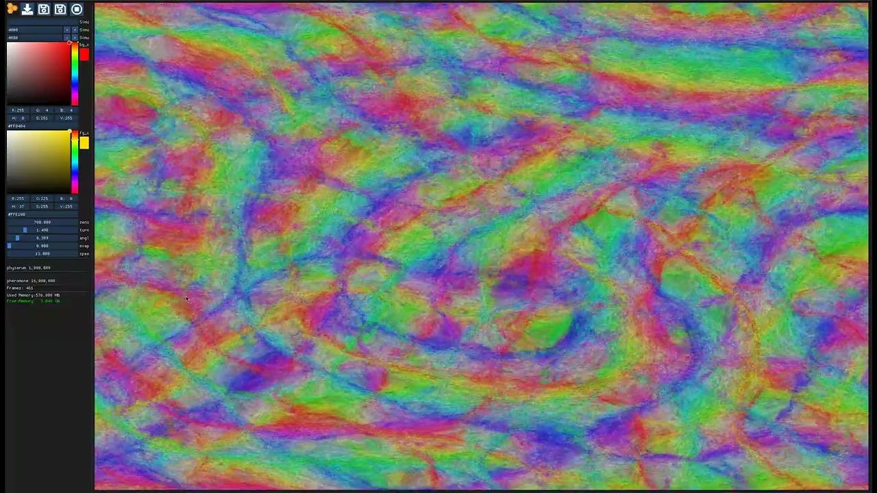 Physarum with Random Colors - YouTube