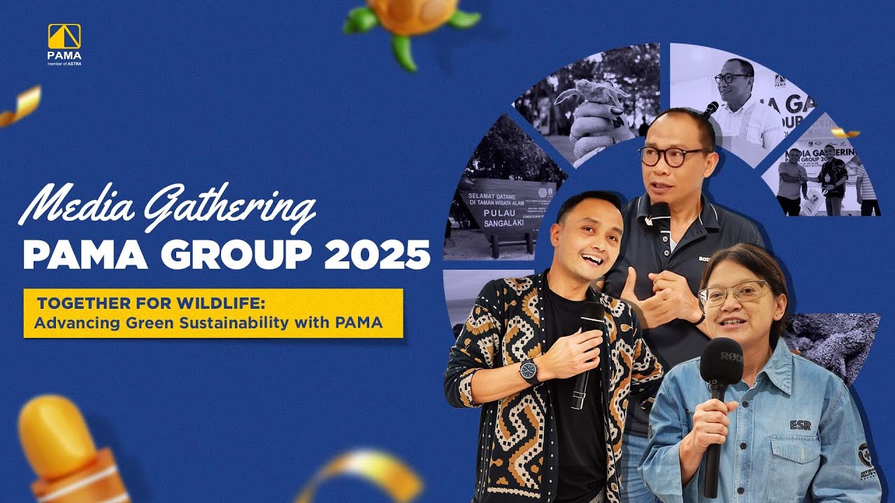 A journey to Sangalaki, with PAMA Group x Media 🐢🌊 - YouTube