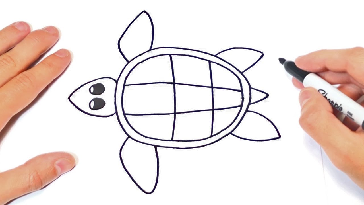 How To Draw A Turtle Step By Step Easy Drawings YouTube how-to-draw-a-turtle-step-by-step-easy-drawings-youtube