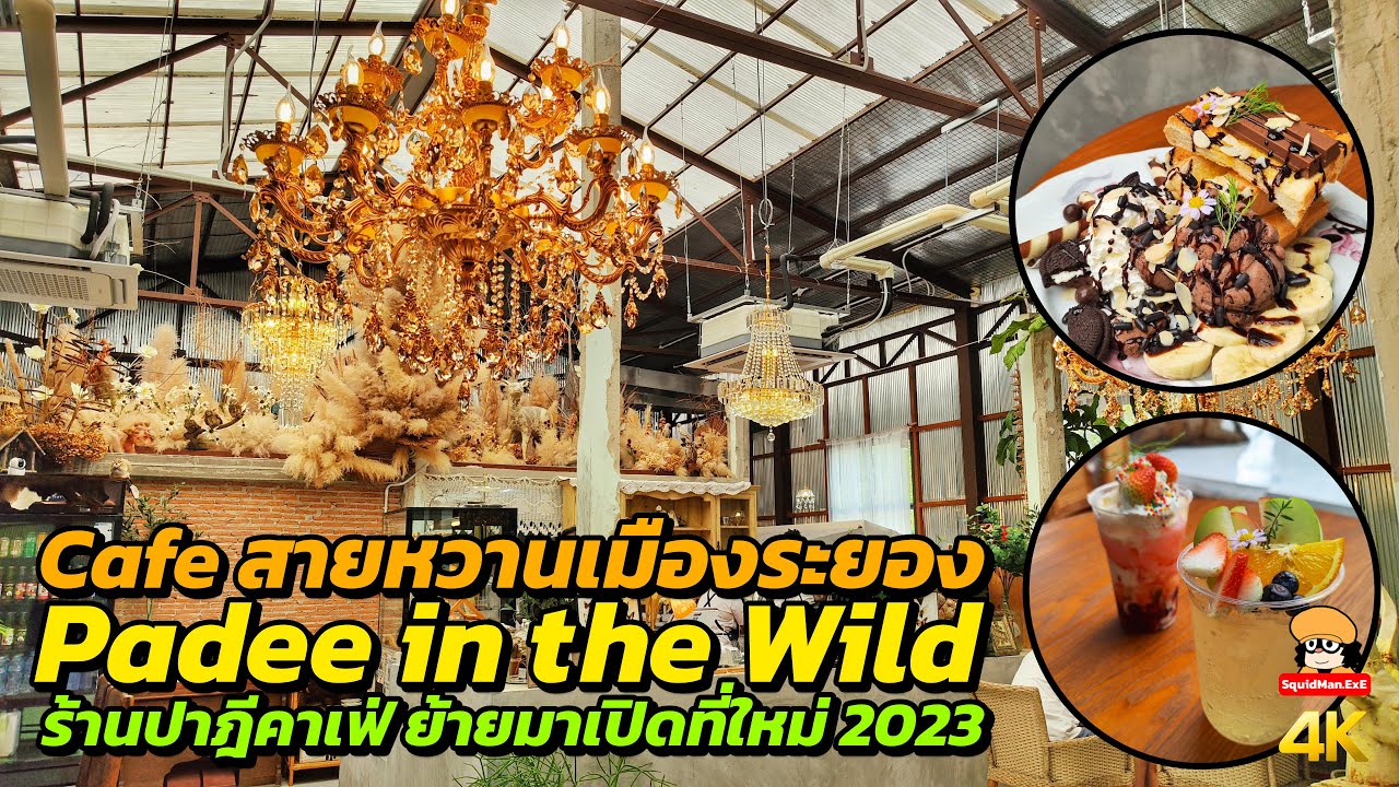Padee in the Wild ร้านปาฎี Cafe สายหวานเมืองระยอง ZV-1F Vlog - YouTube