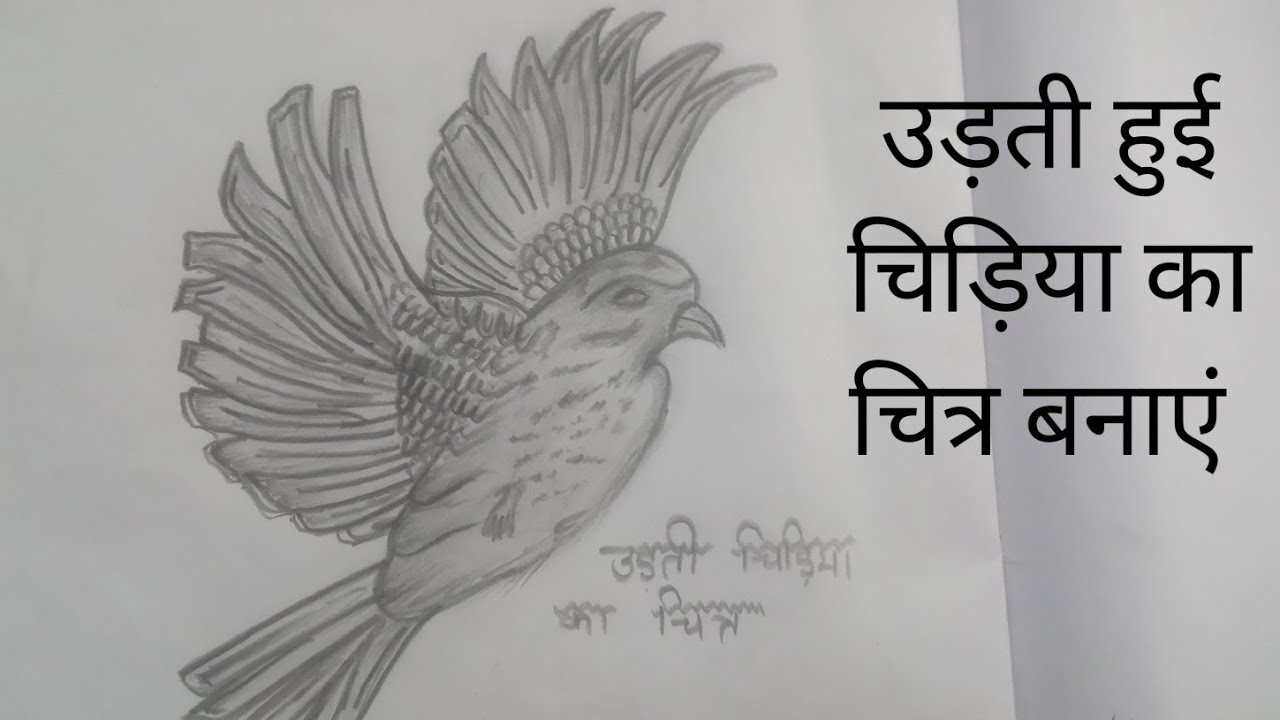 उड़ती हुई चिड़िया का चित्र कैसे बनाएं।udati Hui chidiya ka Chitra kaise ...