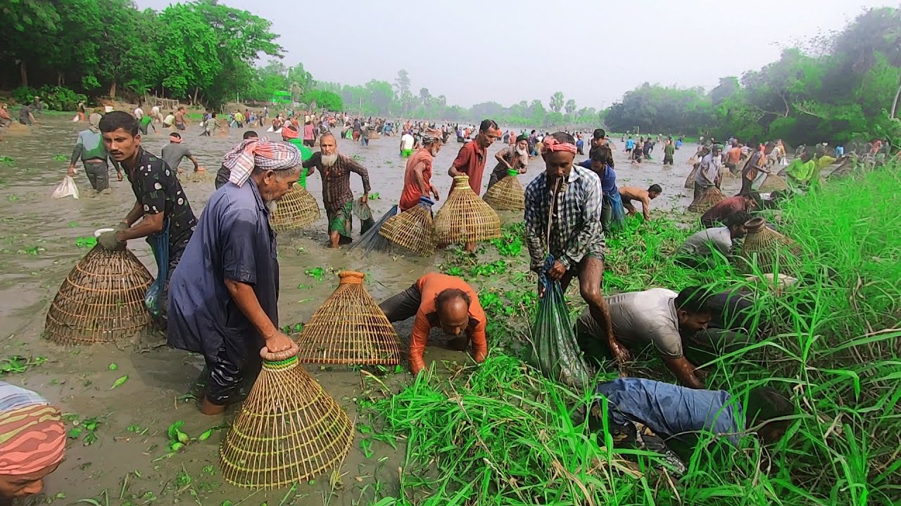 Natural Bill In Many Peoples are Amazing Hand Fish Catching - YouTube