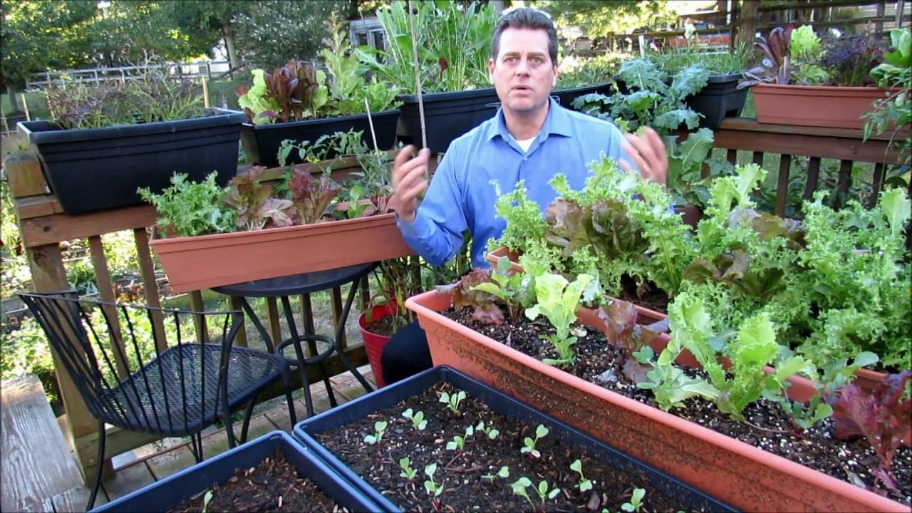 A Vegetable Garden Series & Instagram Contest: Show What You Grow ...