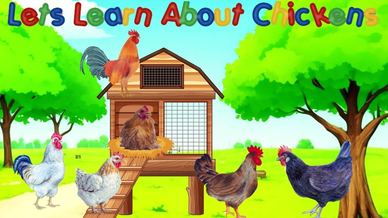 Animals for Kids | Chickens| Learning Toddlers | Learning For Kids ...