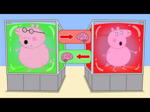 Daddy Pig and Mummy Pig Swapped Brains | Peppa Pig Funny Animation