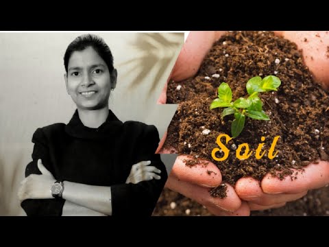 Soil - YouTube