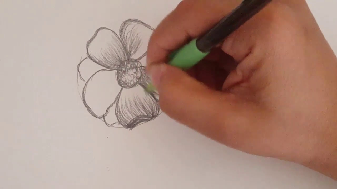 Quick Flower Sketch - YouTube