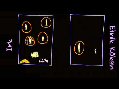 Toplumun Demografik Yapısı: Genel Bakış (Sosyoloji / Toplum ve Kültür)