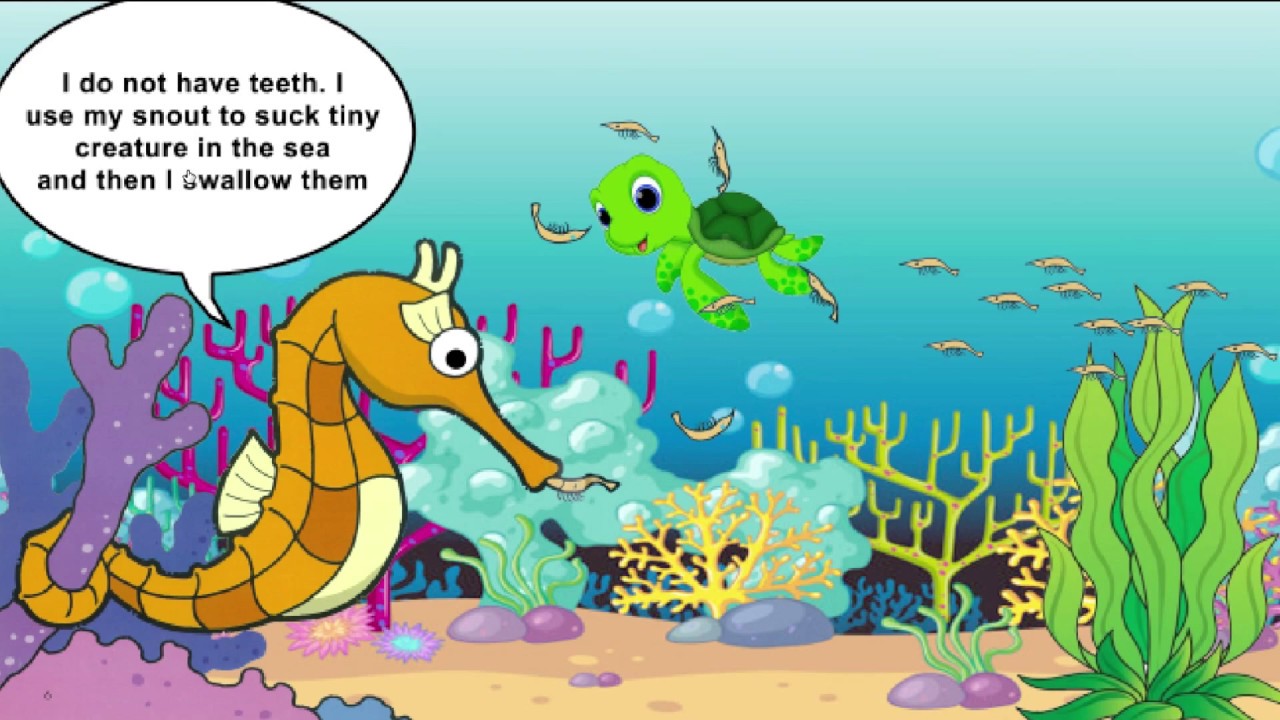 The Amazing Father Seahorse. Amazing things that we never know about a ...