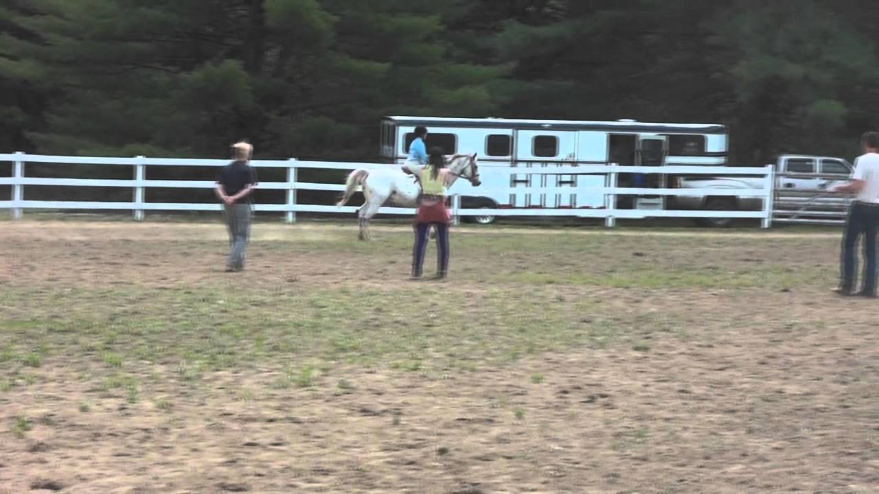 BEO show English/Western Adult Equitation class - YouTube