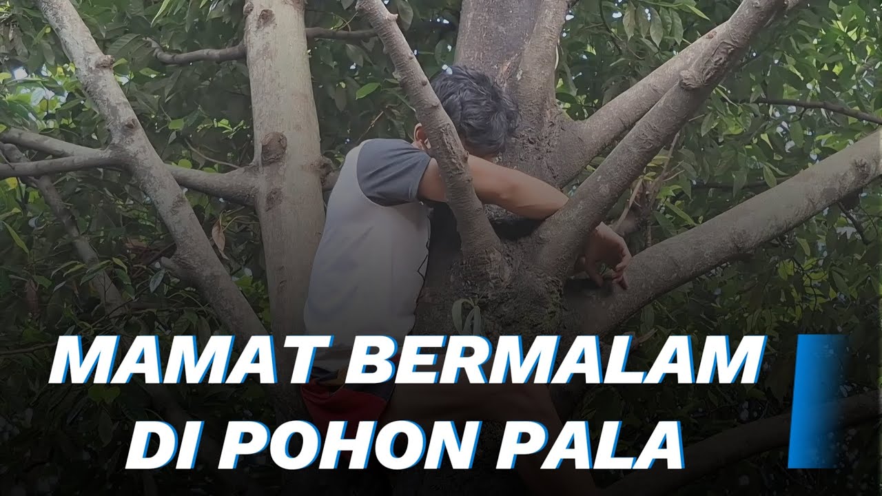 NCEP MENYESAL NGERJAIN SI MAMAT || MAMAT JUAL GITAR || RCM OFFICIAL ...