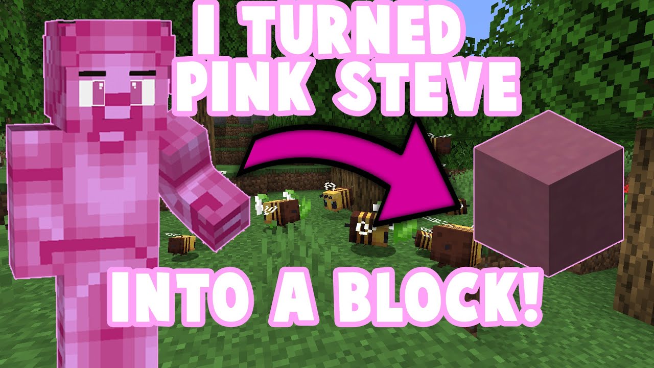 I TURNED PINK STEVE INTO A BLOCK! | The Steve Centuries - Minecraft ...