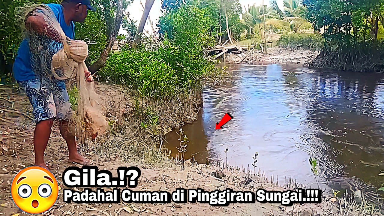 GILA !!! JALA IKAN CUMAN DI PINGGIRAN SUNGAI BERMUARA DI LAUT || NET ...