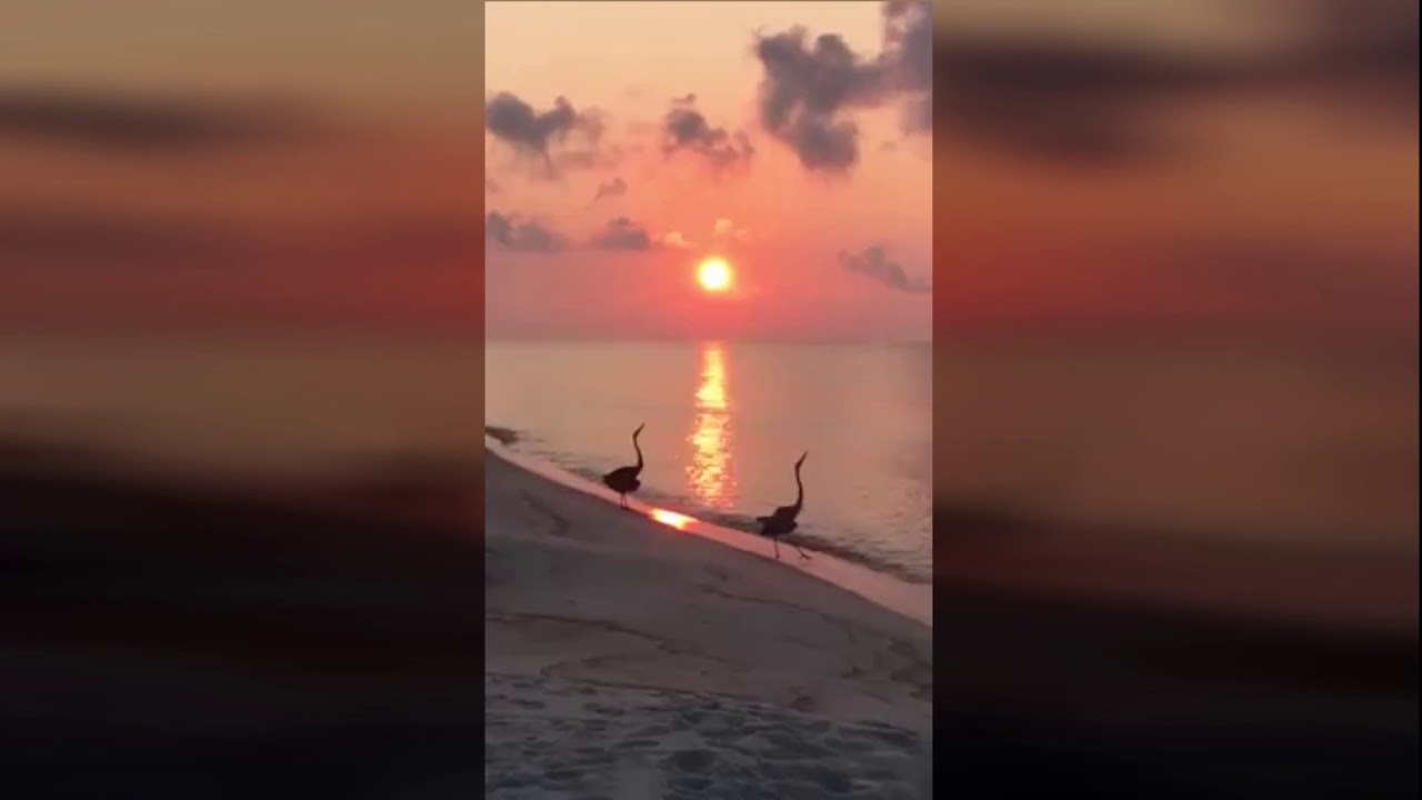 Song of the setting Sun • Short video - YouTube