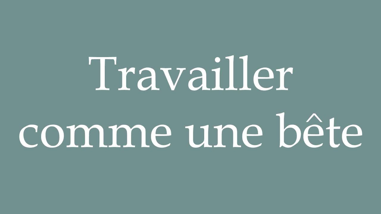 How to Pronounce ''Travailler comme une bête'' (Work like a beast ...