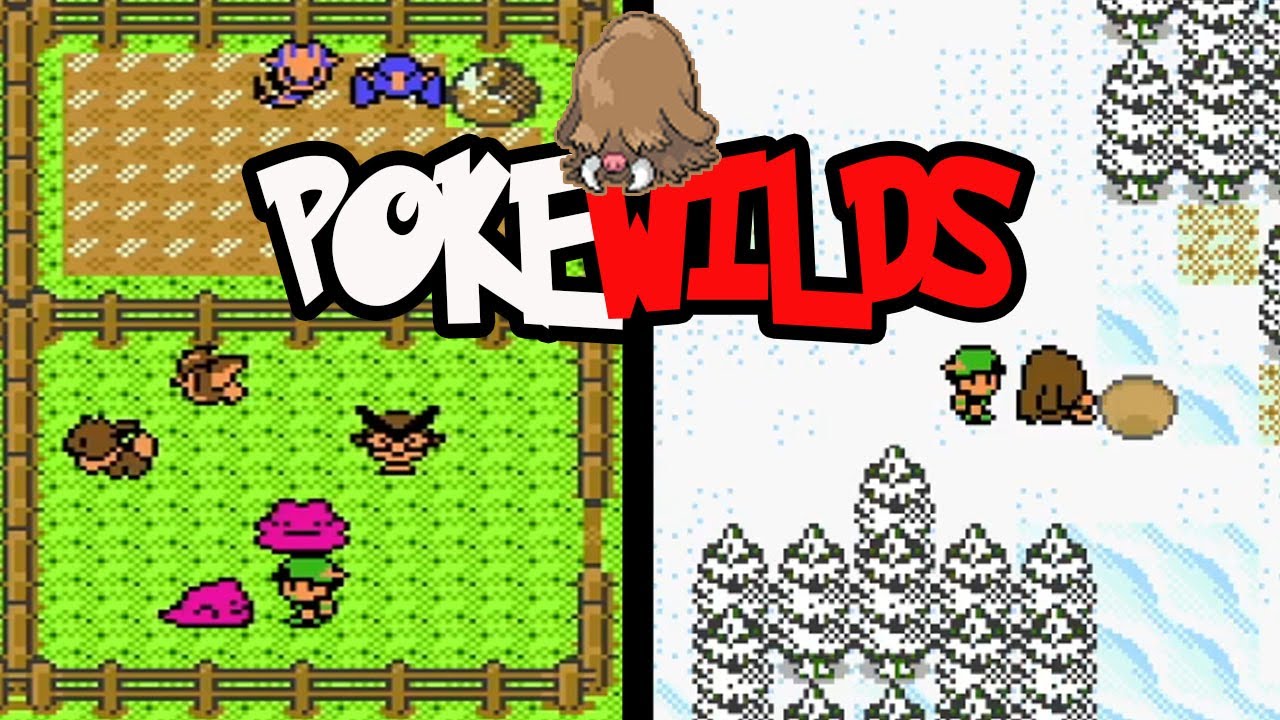 THIS POKEMON GAME IS REALLY FUN! | POKEWILDS - YouTube