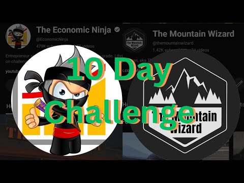The Economic Ninja 10 Day Video Challenge #10! #ninjanation #ninja # ...