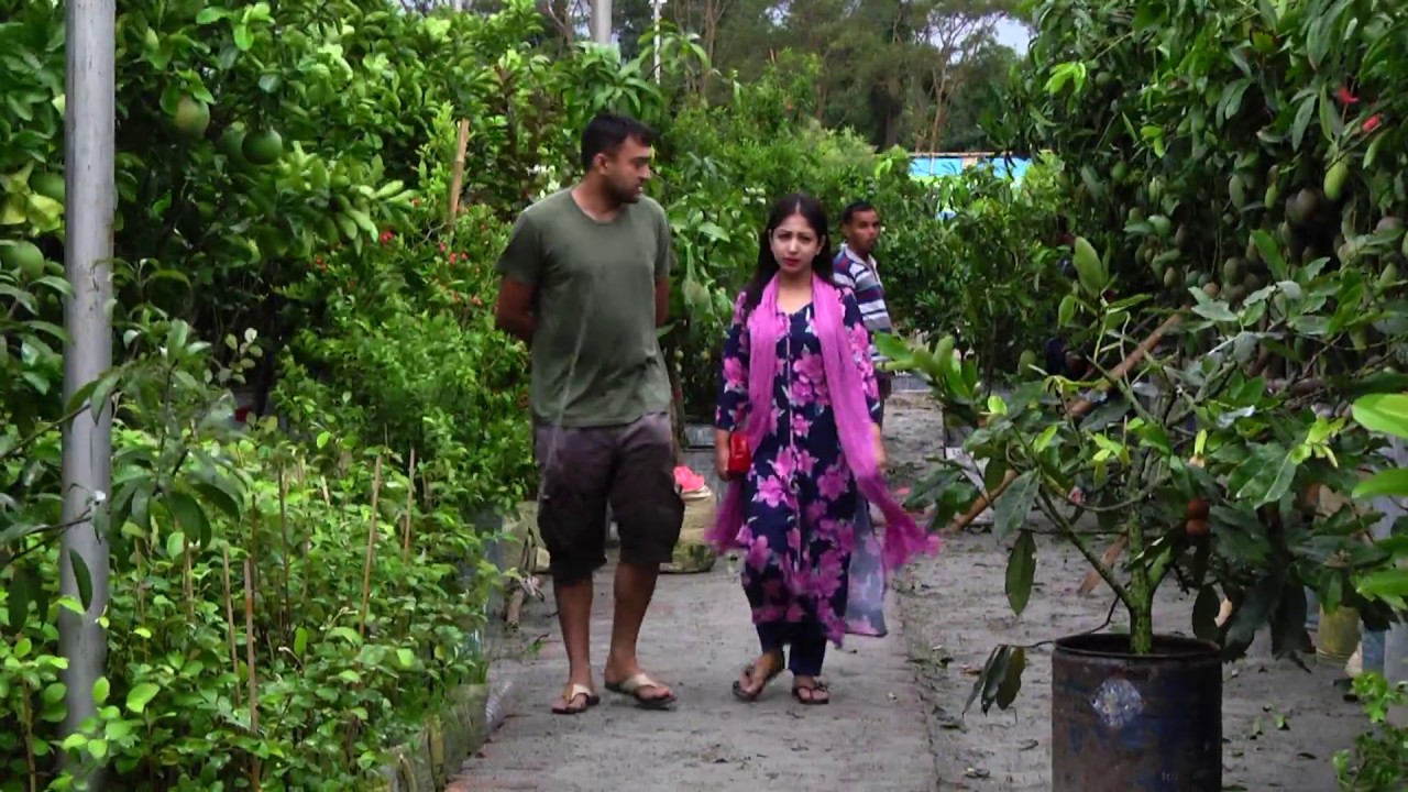 National Tree fair in Dhaka . - YouTube
