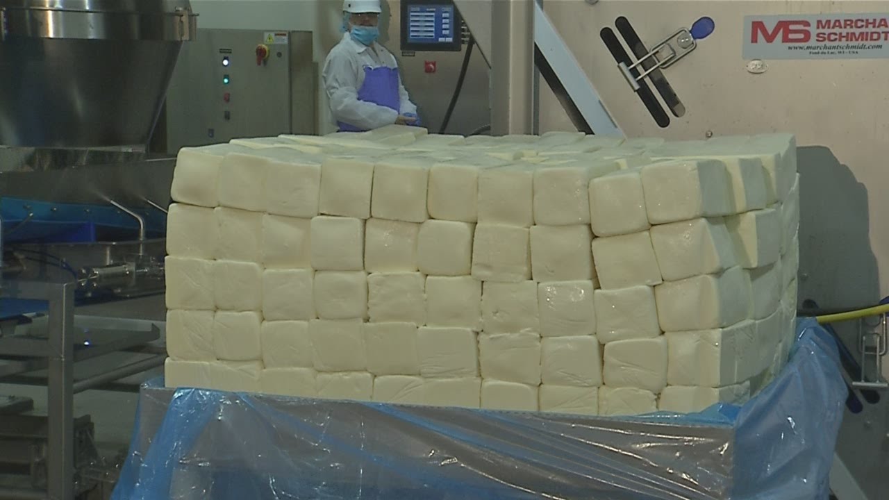 Buffalo Behind the Scenes: Lactalis plant - YouTube