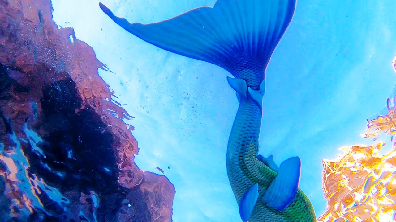 I Swam with Two Other MERMAIDS 🧜‍♀️🧜‍♀️ - YouTube