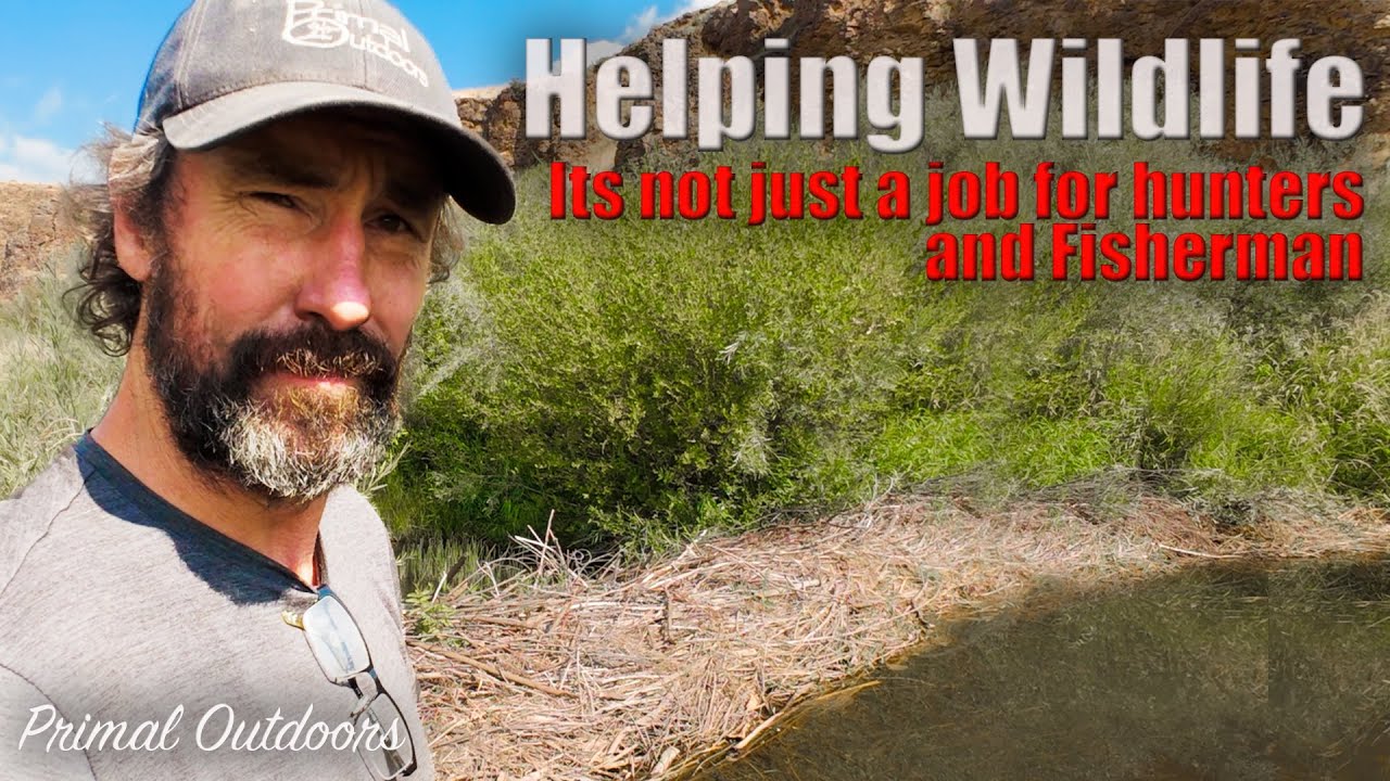 Volunteering for Oregon Department of Fish and Wildlife (ODFW) Part 1 ...