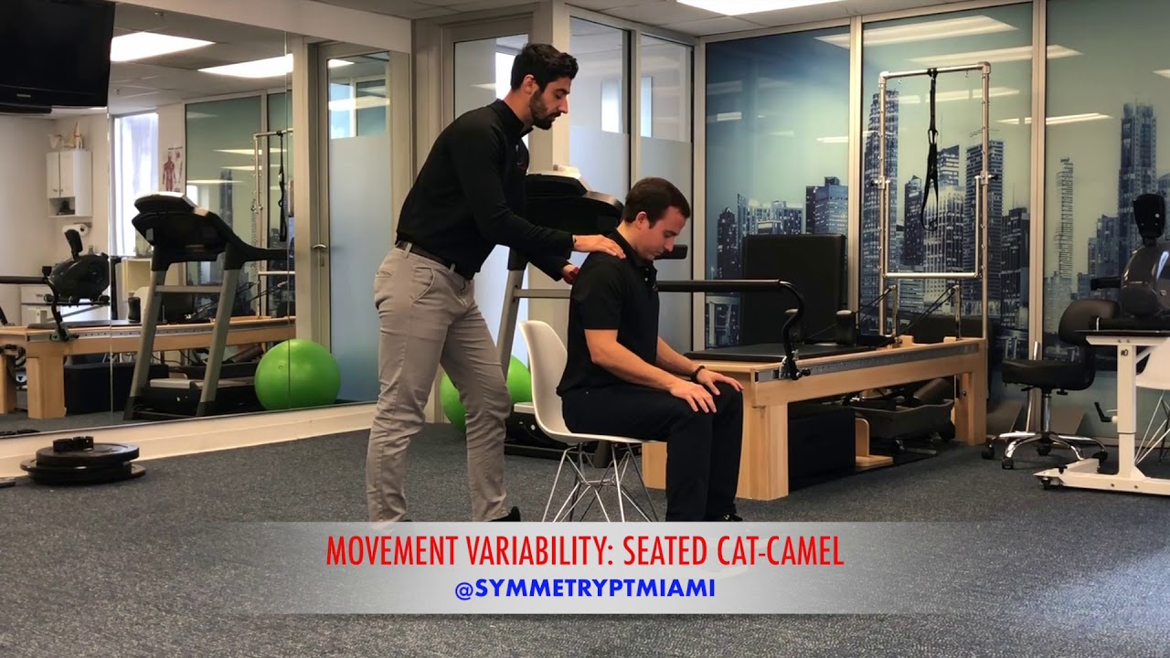 Have you tried the cat-camel exercise in a seated position? - YouTube