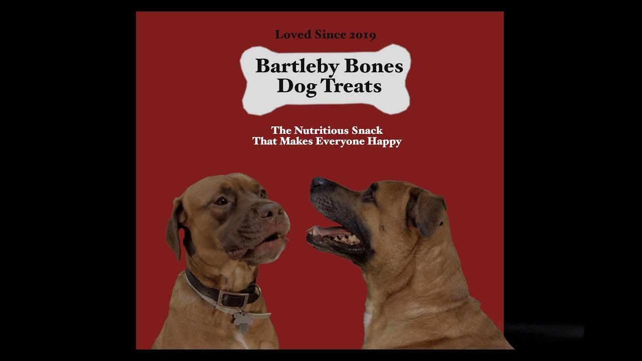 Bartleby Bones Commercial 2 6 2020 - YouTube