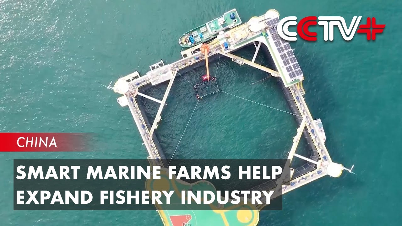 Smart Marine Farms Help Expand Fishery Industry - YouTube