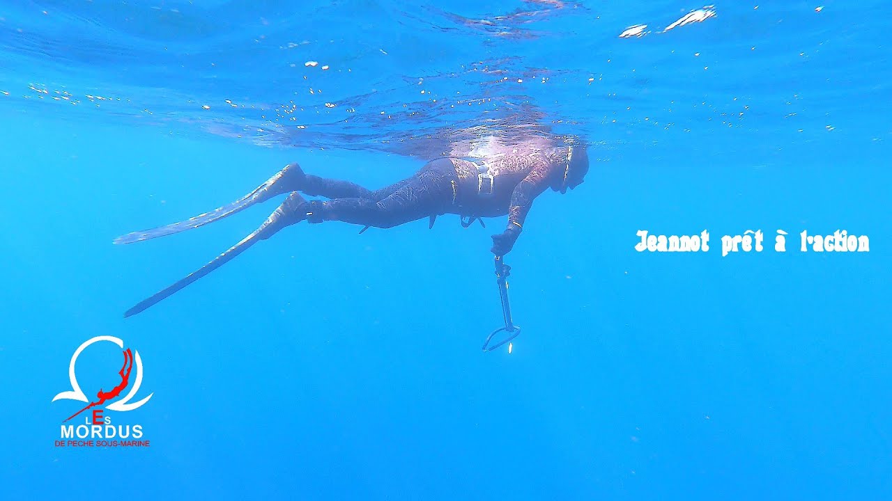 Pêche sous-marine aux Embiez ( Var ) avec Jeannot, Joseph et Eric le 24 ...