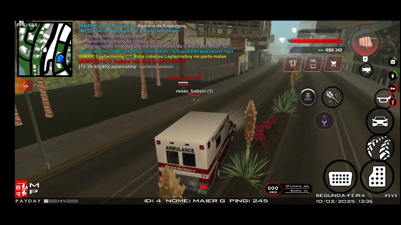 bisonho solo part 2 - YouTube