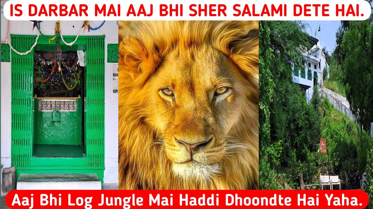 Dargah Hazrat Haider Ali Shah Baba Jaipur | Dargah Haddi Shah Baba ...