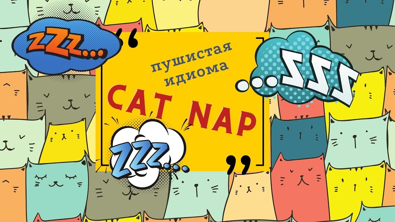 Английское выражение (идиома) – Cat nap - YouTube