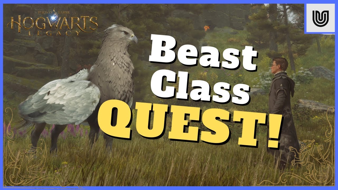 Hogwarts Legacy - Beast Class Quest Guide! - YouTube