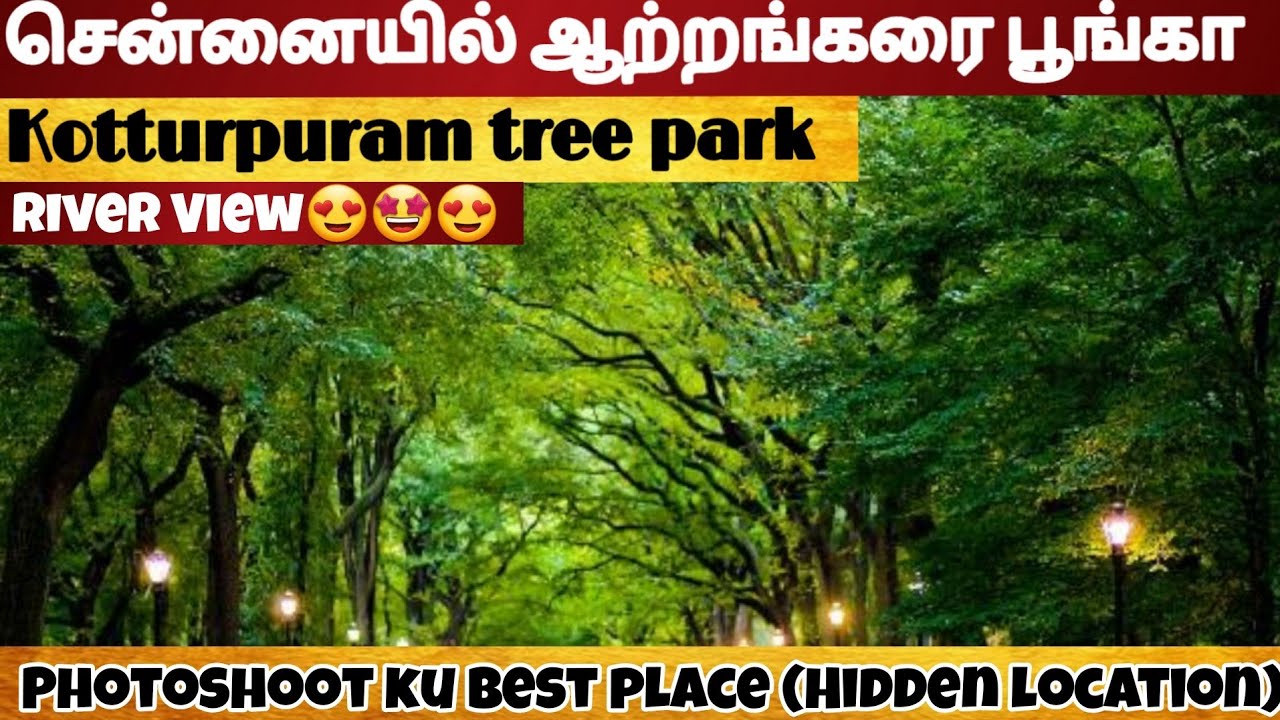 Kotturpuram Tree park |Chennai vlogs|Unseenmadras - YouTube