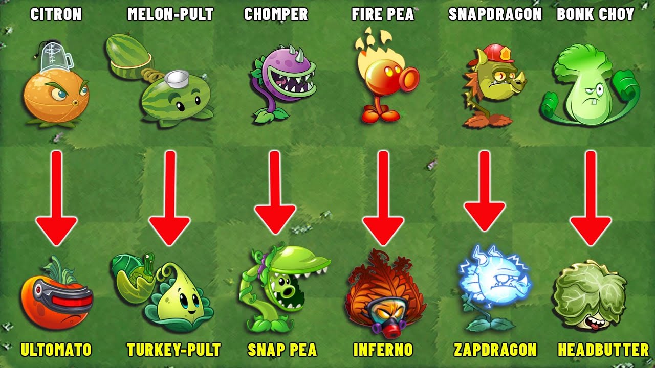 PVZ 2 - EVOLUTION Of Plants WEAK - STRONG! PvZ 2 Gameplay. - YouTube