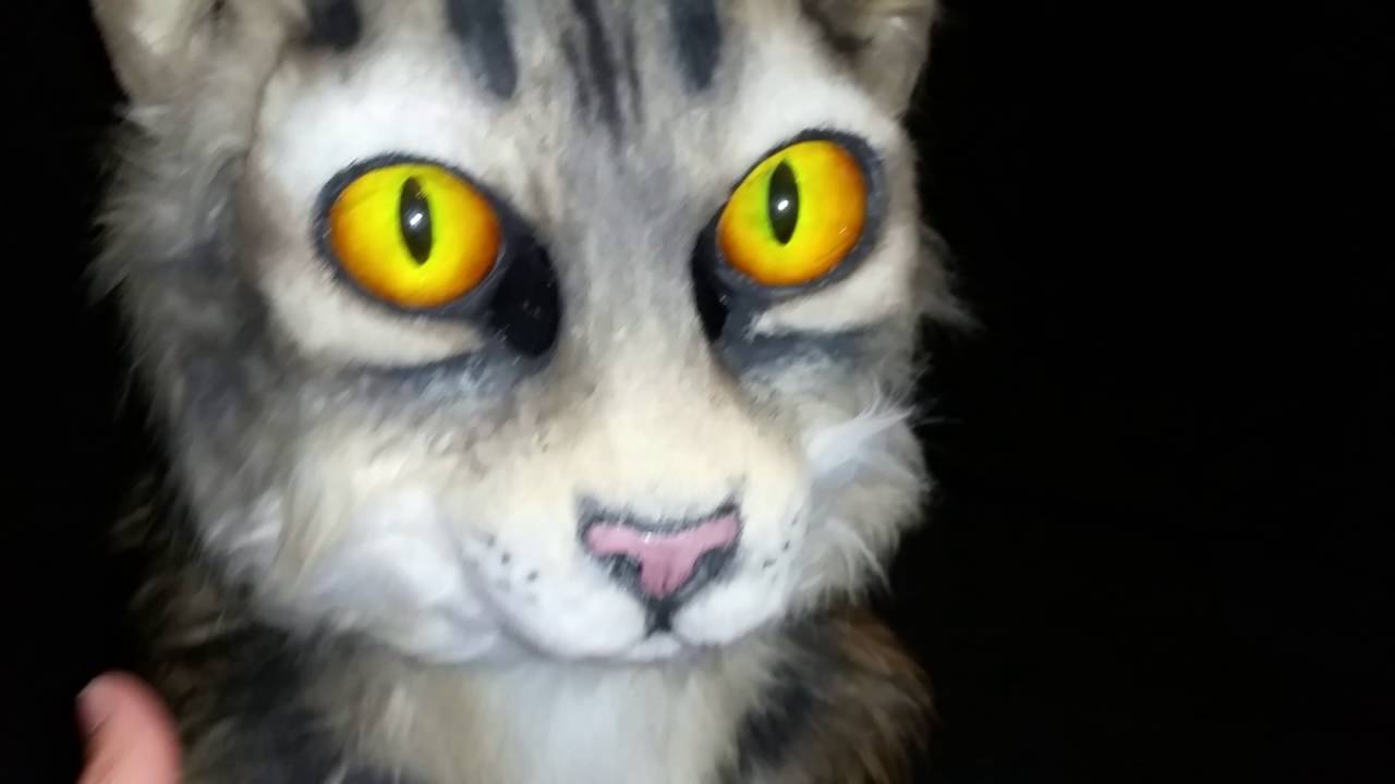 HYPER REALISTIC CAT MASK REVIEW - YouTube