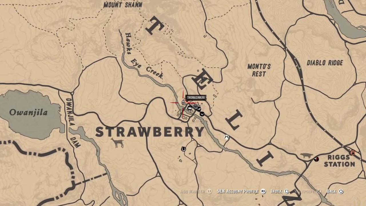 Red Dead Online Madame Nazar Goat Hair Brush Location - YouTube